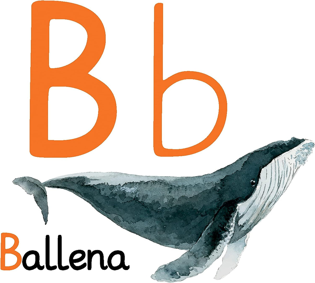 Poster del Abecedario para Niños en Español | PACKLIST