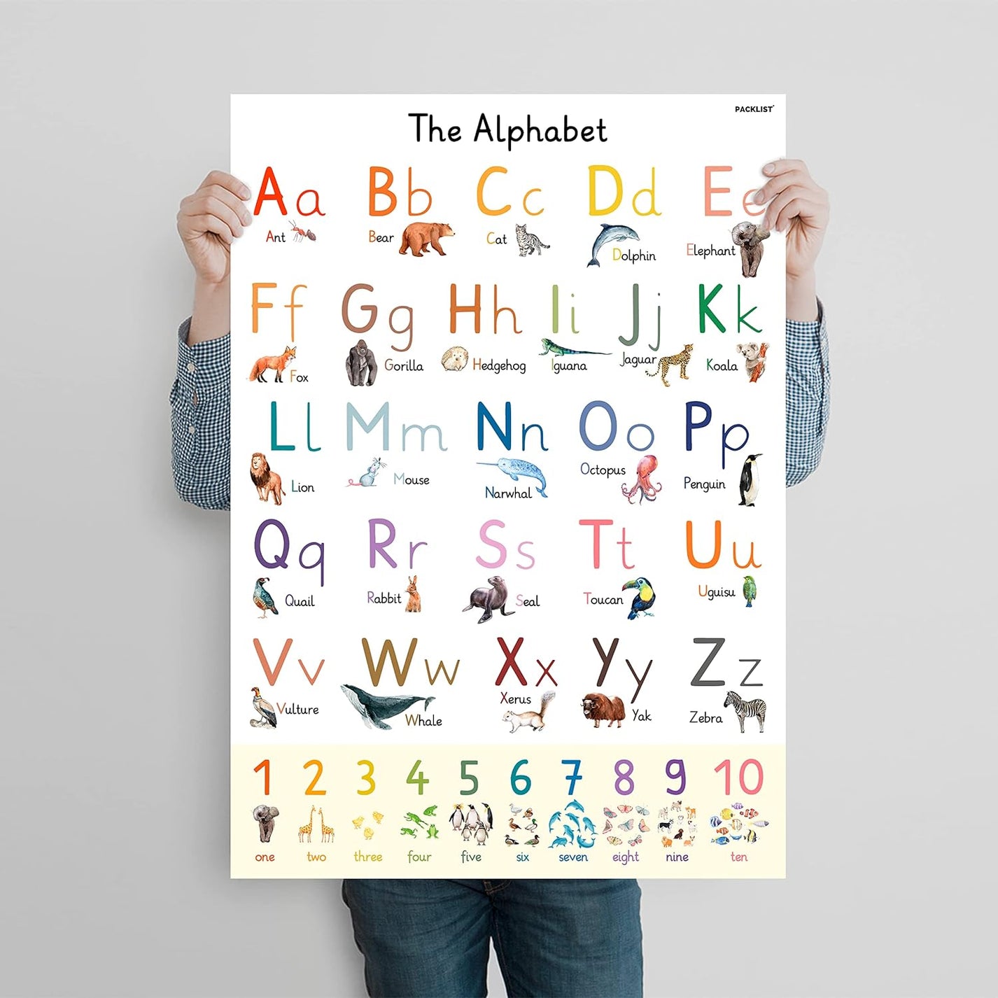 English Alphabet Poster for Kids | PACKLIST
