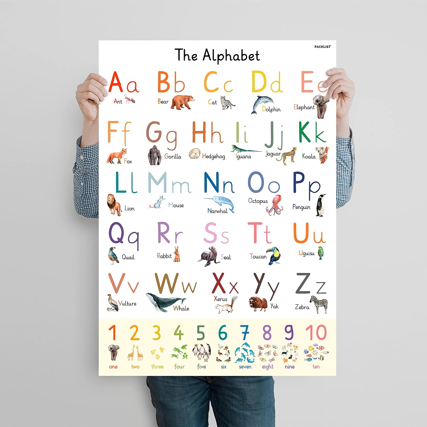 English Alphabet Poster for Kids | PACKLIST